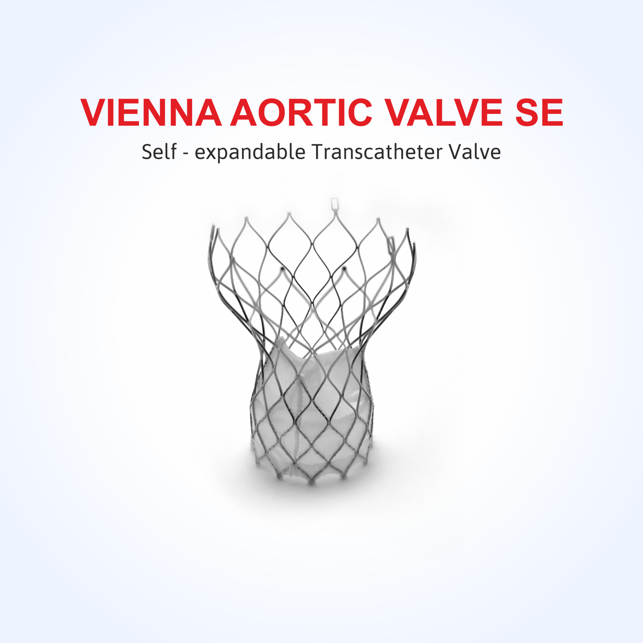 VIENNA AORTIC VALVE SE (Self-Expandable Transcatheter Valve) - Relisys ...