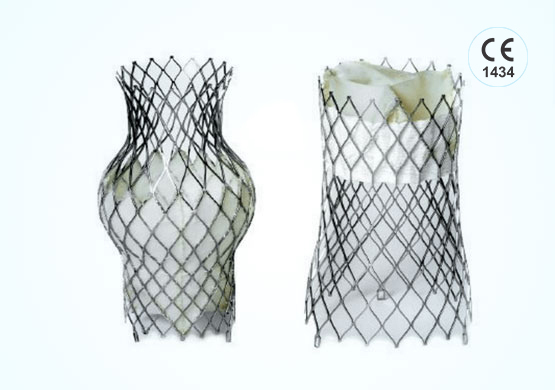 TricValve System | Transcatheter Solution for Tricuspid Regurgitation