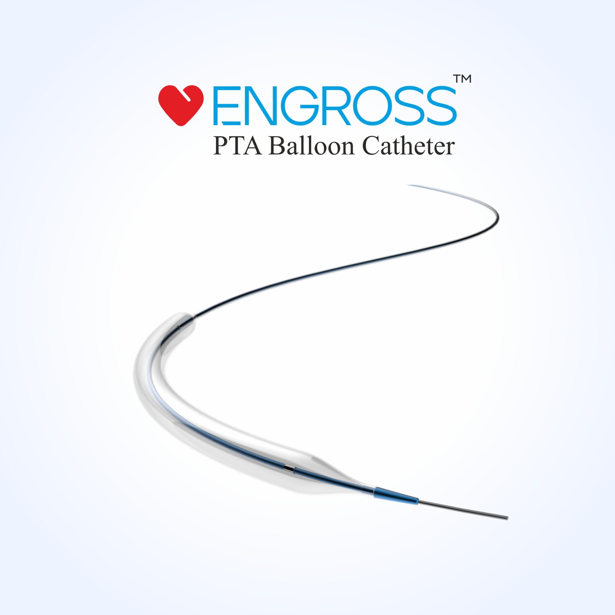 Engross (PTA Balloon Catheter) - Relisys Medical Devices